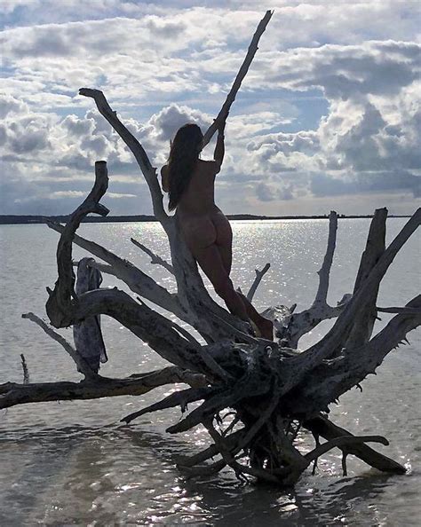 Brooke Shields Nude And Topless Pics And Sex Scenes Compilation