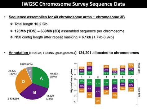 Wheat Genome Project Pptx