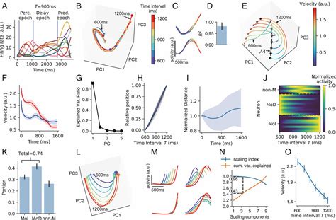 Understanding The Computation Of Time Using Neural Network Models Pnas