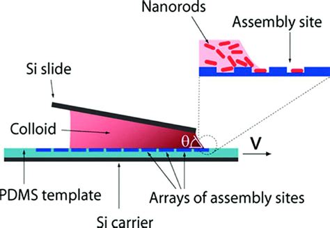 Capillary Assembly And Experimental Setup Nanorods Are Assembled In
