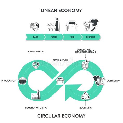 The Vector Infographic Diagram Of The Difference Between The Circular Economy And Linear Economy