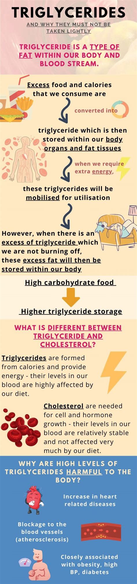 What Are Triglycerides Fitivate