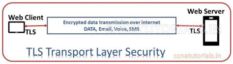 TLS Transport Layer Security Tutorial For CCNA Exam CCNA TUTORIALS