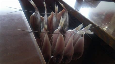 居酒屋いちきの店長日記。