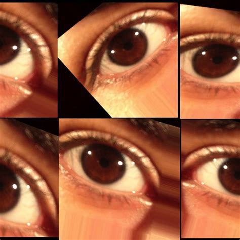 Data Augmentation Examples Used In Order To Increase The Number Of