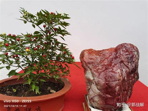 奇石专家王松怀慈善家郭战解拍摄河南省洛宁县回族镇中原村奇石专家 知乎