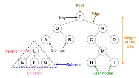 Olaoluwa Abiodun On Linkedin Doublylinkedlists Stacks Queues Binarysearchtrees Datastructures