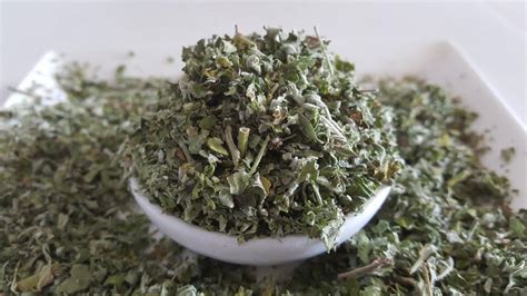 What Is Catnip Tea And What Are The Benefits