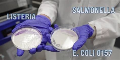 Controversial Influencer Andrew Tate Returns To U S Amid Sex Trafficking Charges