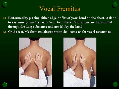 Two Types Of Fremitus Rhonchial And Vocal Vocal Fremitus Generally