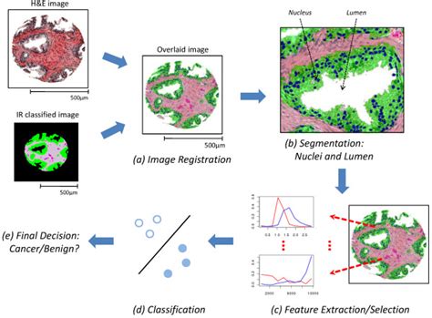 Overview Of System A B Ftir Spectroscopic Imaging Data Based