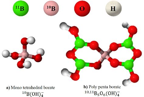 Molecular Structure And Isotopic Preferences Of A B Oh − 4 And B B 5