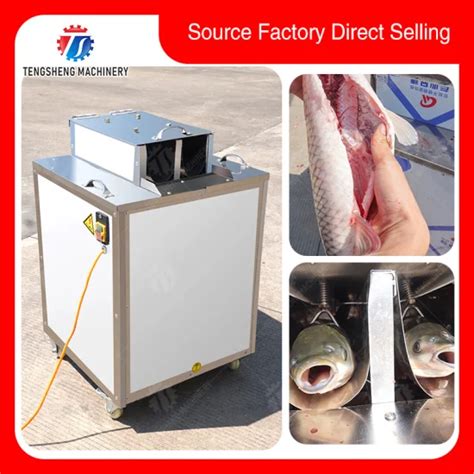 Commercial Use Stainless Steel Electric Fish Machine Industrial Fish