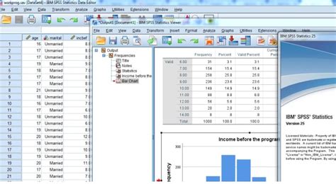 Do Data Analysis In Spss And Interpret By Duazahara Fiverr
