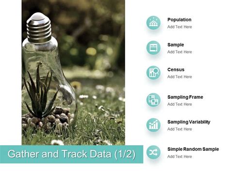 Gather And Track Data Population Ppt PowerPoint Presentation Professional Good