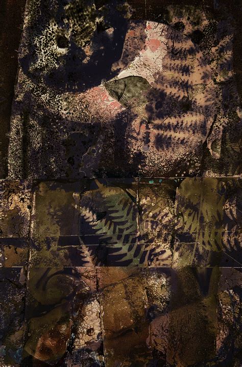 Ted Fox Joyce New Moons