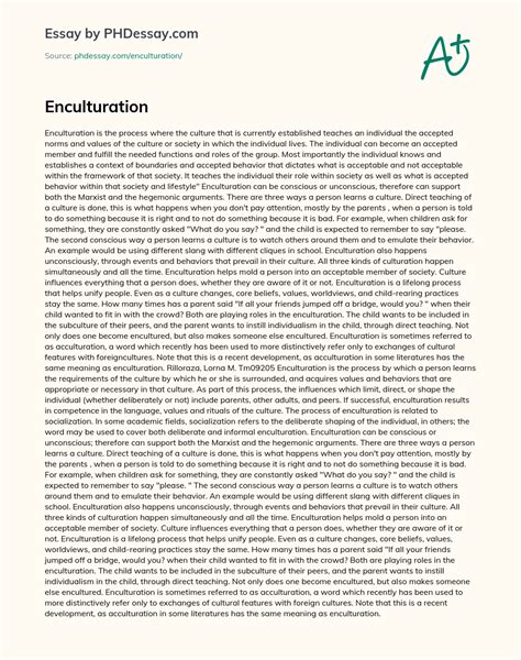 Enculturation Process Essay Example