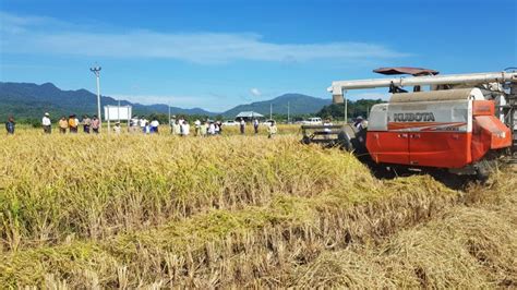 စစ်ကိုင်းတိုင်းဒေသကြီးအတွင်း မိုးသီးနှံများ အချိန်မီ စိုက်ပျိုးနိုင်ရေး စက်မှုလယ်ယာဦးစီးဌာနမှ ထ