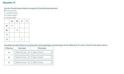 Genotype Vs Phenotype Punnett Square