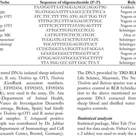 Sequence Of Oligonucleotide Probes Hybridized On The Membrane Download Table