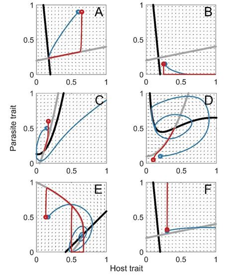 Phase Planes Showing Coevolutionary Trajectories When The Two Species Download Scientific