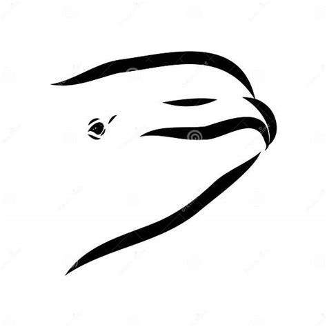 Hand Drawn Vector Beluga Whale Sketch Engraving Illustration Of Whale Stock Vector