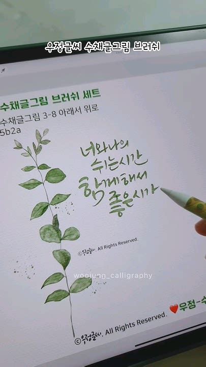 디지털캘리그라피 아이패드 글씨 프로크리에이트 손글씨 캘리그라피 Calligraphy Youtube