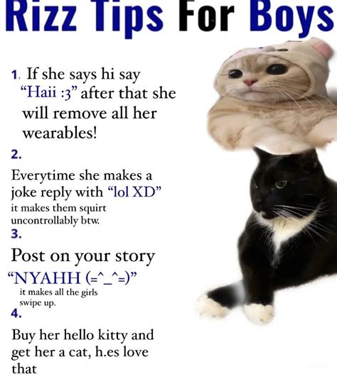 Silly Memes Fb Memes Stupid Memes Silly Cats Funny Cats Funny Laugh Hilarious Im Losing