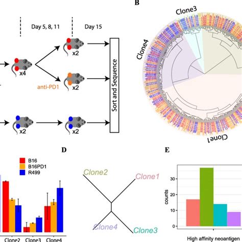 Analysis Of Scrna Seq Dataset Of Primary Breast Cancer A Dendro Download Scientific Diagram