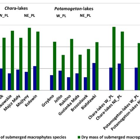 Number Of Submerged Macrophyte Species And Biomass G Dw M 2 In Download Scientific Diagram