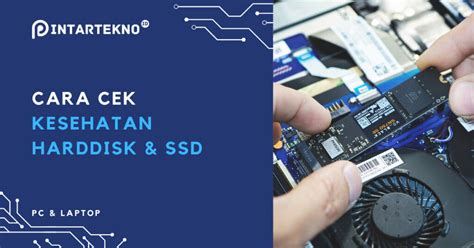 Rekomendasi SSD External Untuk Kebutuhan Mobilitas Data Tinggi Kamu PintarTekno