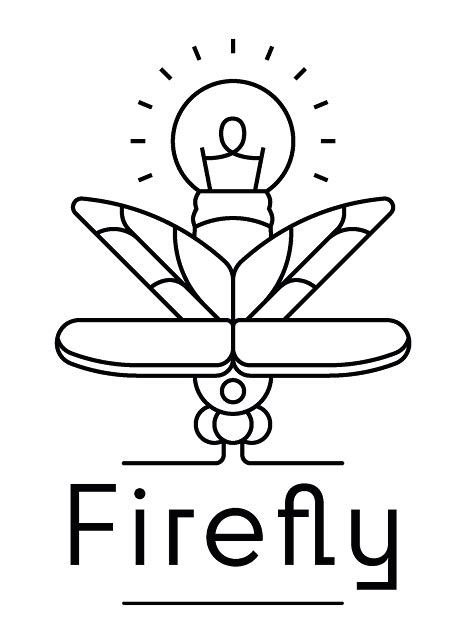 Firefly Black Box Fuzzer For Web Applications Redpacket Security