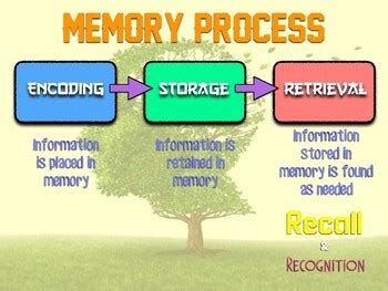 Memory Psychology Digital Learning Pack By You Will Love History