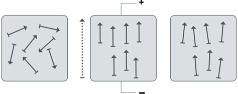 1bpoling Process 1024×407 Cts Denmark As Formerly Ferroperm