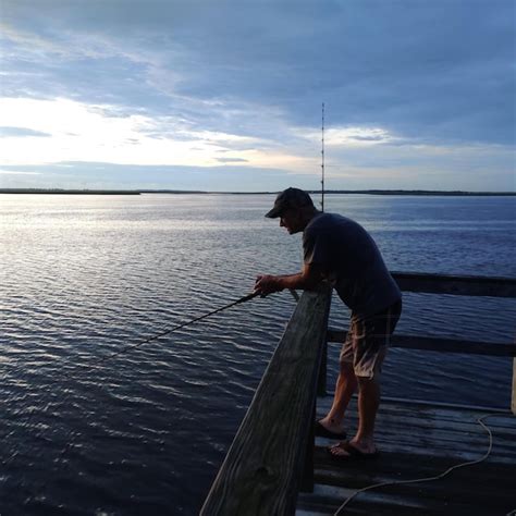 Premium Photo Full Length