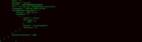 Exploiting IAM Vulnerabilities In AWS