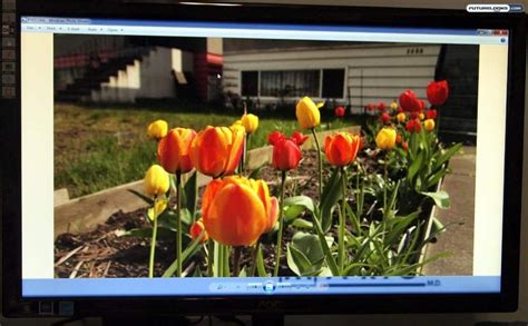 AOC E Fwk Inch Aire LED LCD Monitor Review Page Futurelooks