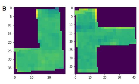 A A Sentinel 2 Tile Specimen Of Sugarcane Fields Illustrated In Rgb Download Scientific