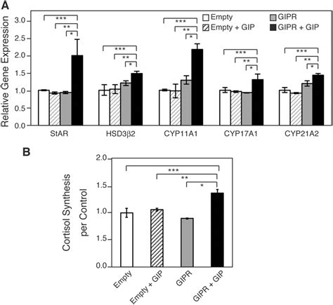 Effects Of Gipr Activation On The Expression Of Steroidogenesis Related
