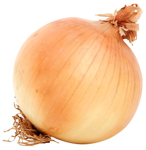Brown Onion PNG Image - PurePNG | Free transparent CC0 PNG Image Library