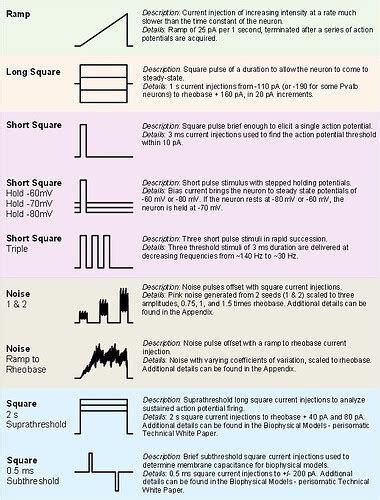 Cell Types Database Physiology And Morphology Allen Cell Types Database Allen Brain Map