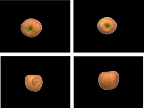 Figure 1 From Automatic Grading Of Apples Based On Multi Features And