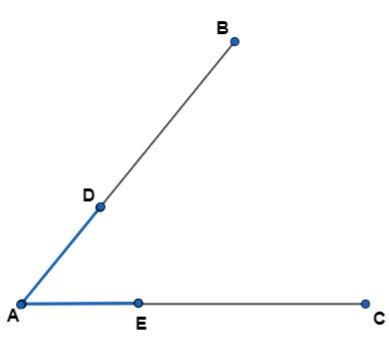 How To Construct An Angle Bisector Geometry Study