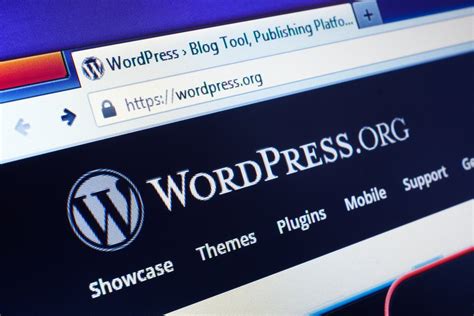 cms wordpress caseconcept