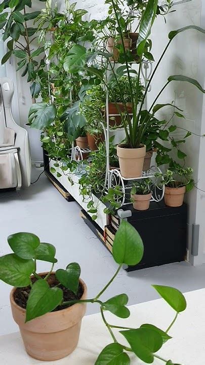 주님의임재가내적소명인것입니다하나님과호흡하고생명적관계가이루어질때영이요생명이신말씀이내생각이되고내감정이되고내신체가되는것입니다그럴때는나의영혼몸에아무런장애가없습니다아픈곳이없어요