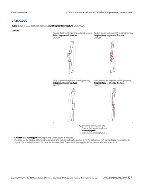 AOOTA Classification Compendium 2018 Pdf