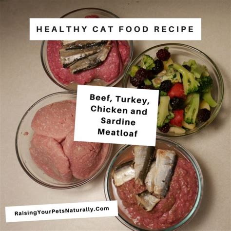 Beef Turkey Chicken And Sardine Meatloaf For Cats Raising Your Pets