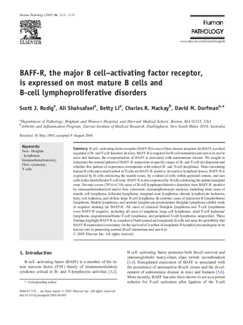 Pdf Baff R The Major B Cellactivating Factor Receptor Is Expressed