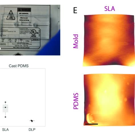 Polymer Model Fabricated For Bilateral Defect By Rapid Prototyping