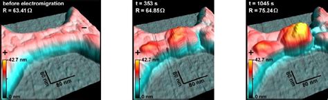 Figure 1 From Real Time Atomic Force Microscopy Imaging For N Ano